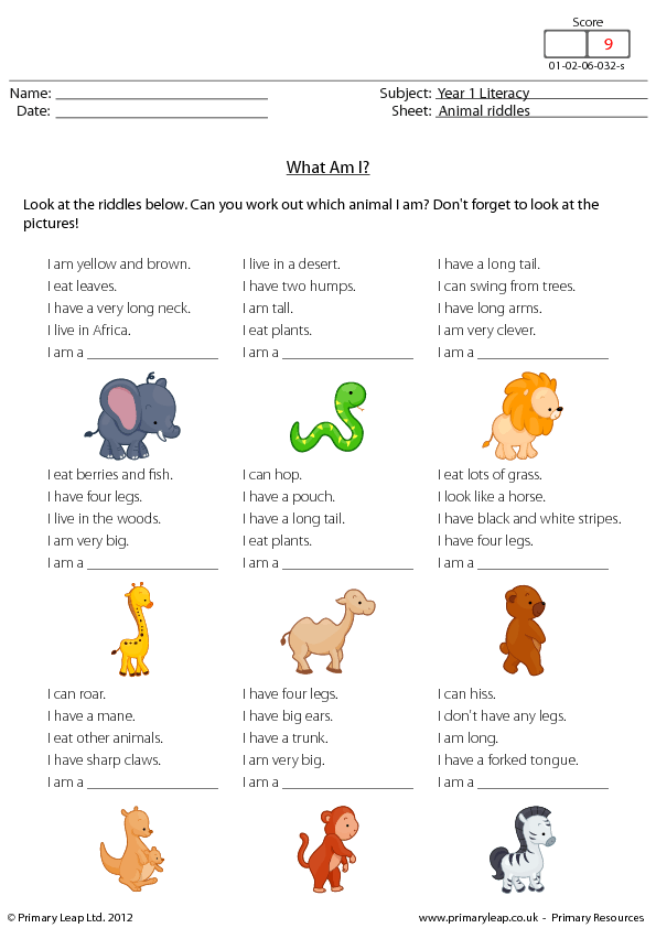 Animal Riddles What Am I 