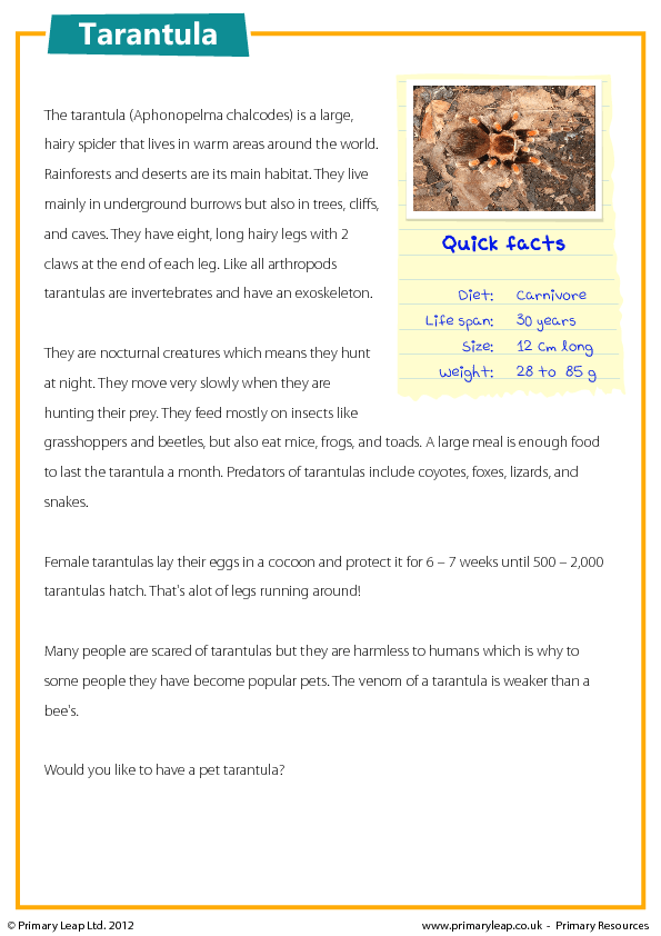 KS2 Reading Comprehension Tarantulas